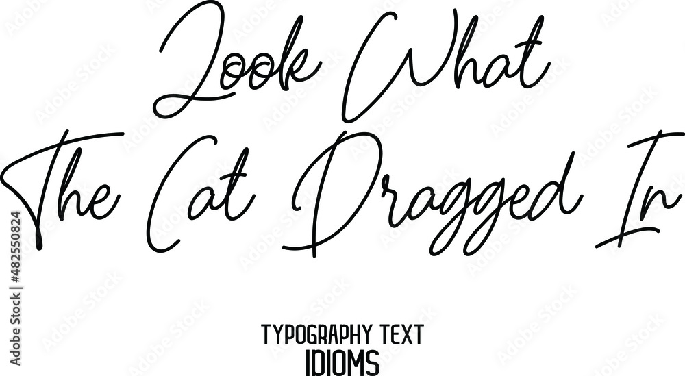 Look What the Cat Dragged In Typography idiom Stock Vector | Adobe Stock