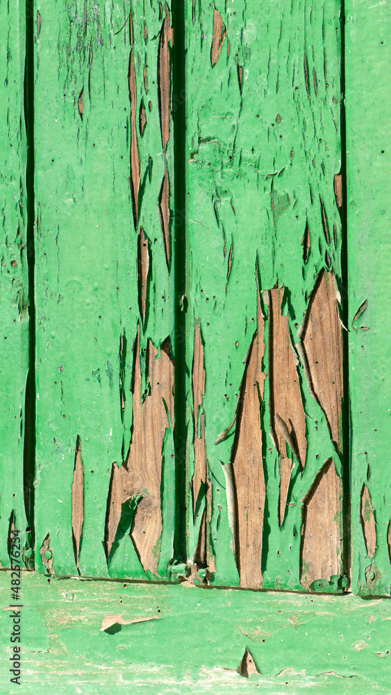 Puerta de tablones de madera pintado de verde con pintura manchada y ...