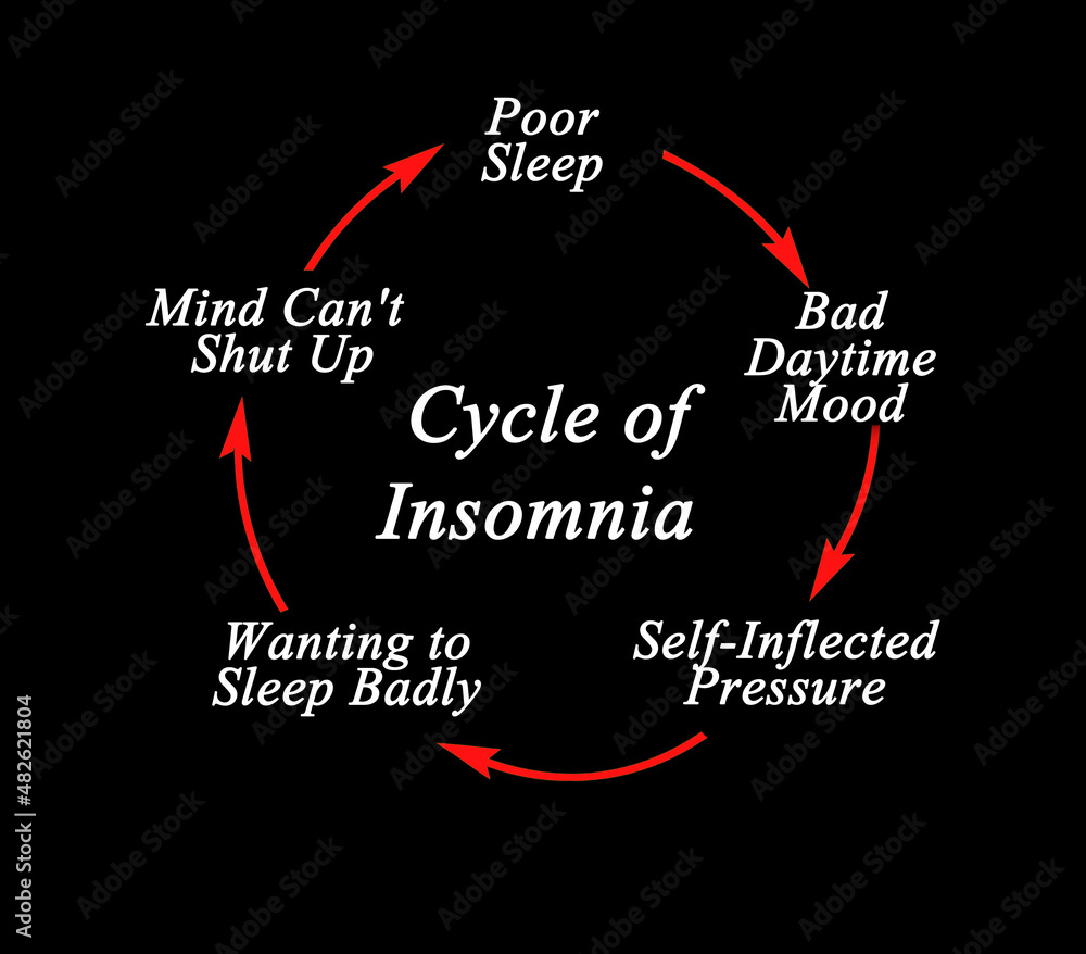 Components of Cycle of Insomnia. Stock Illustration | Adobe Stock