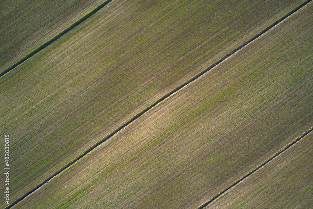 Farmland aerial view. Field texture aerial view. Grass plantation at ...