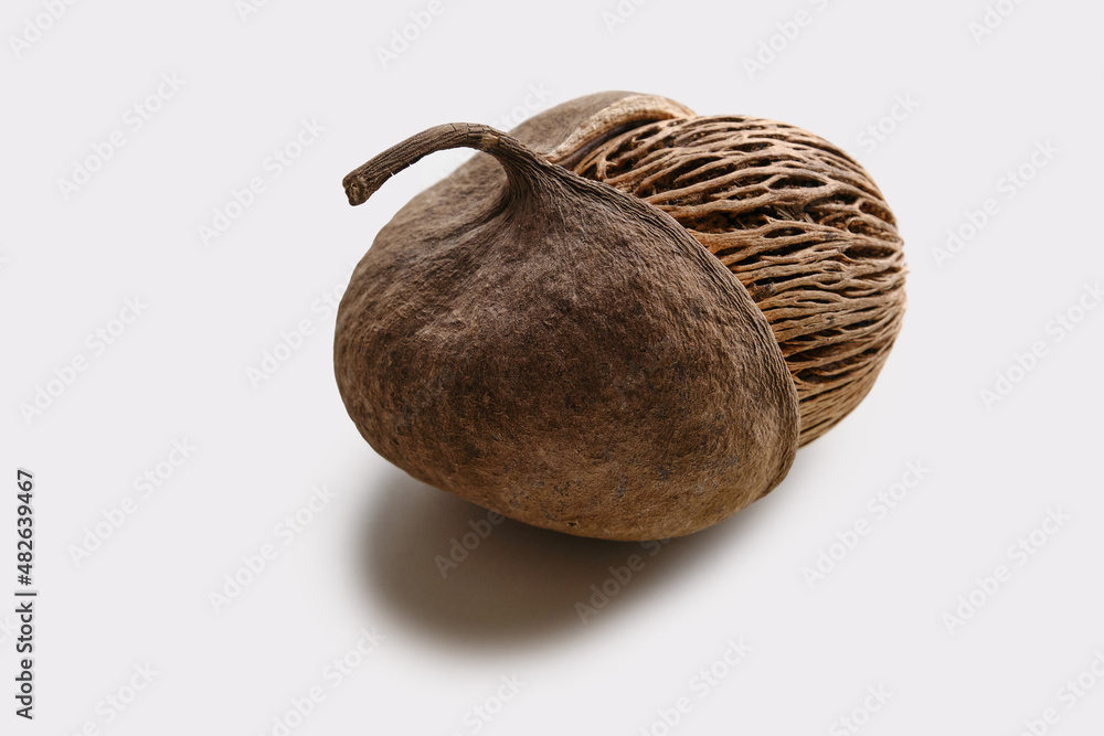 Open Buddha nut with seed on a white background. Othalanga tree, Pong ...