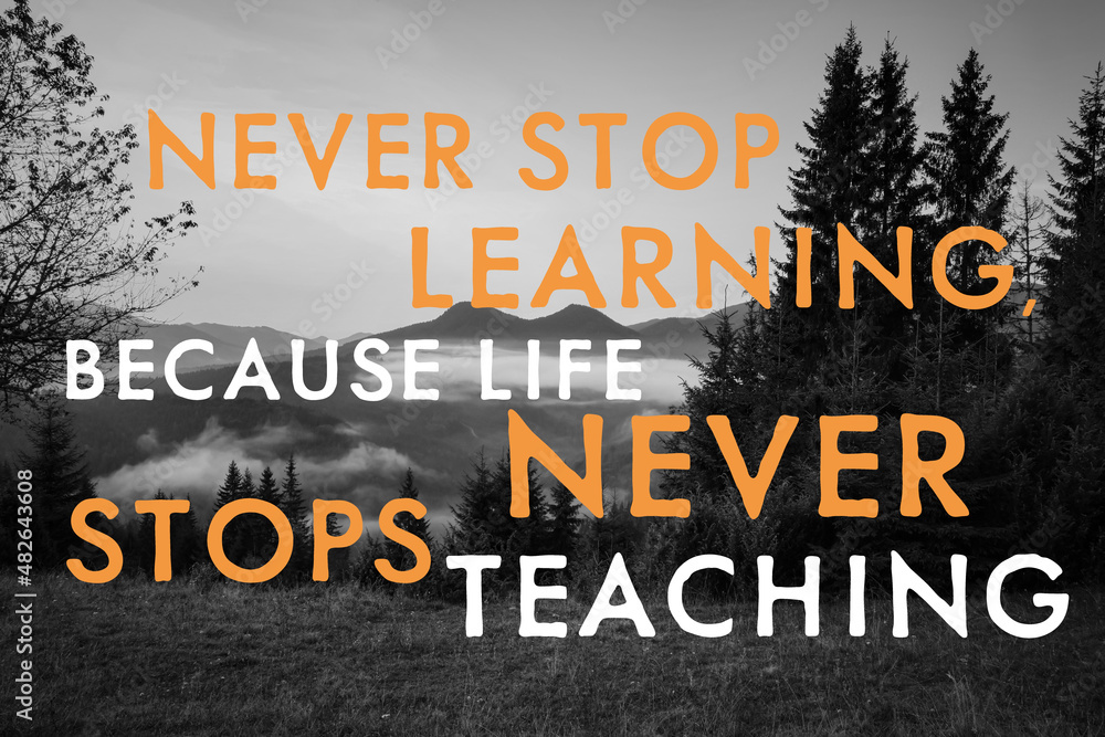 Never Stop Learning, Because Life Never Stops Teaching. Motivational ...