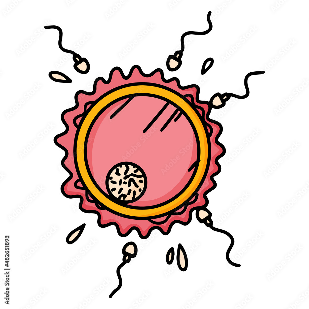 Egg with sperm, pregnancy and fertilization, isolated pink icon in ...