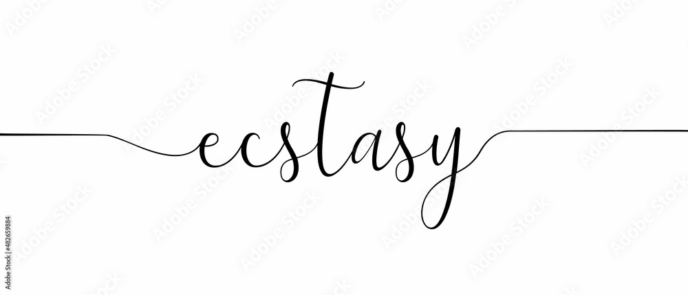 ECSTASY - Continuous one line calligraphy with Single word quotes ...