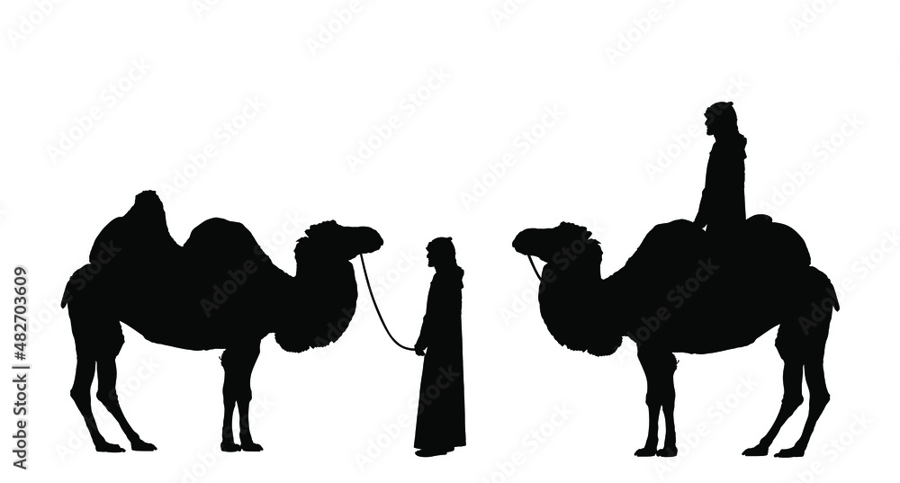 Arabian man sheikh standing and riding camel vector silhouette ...