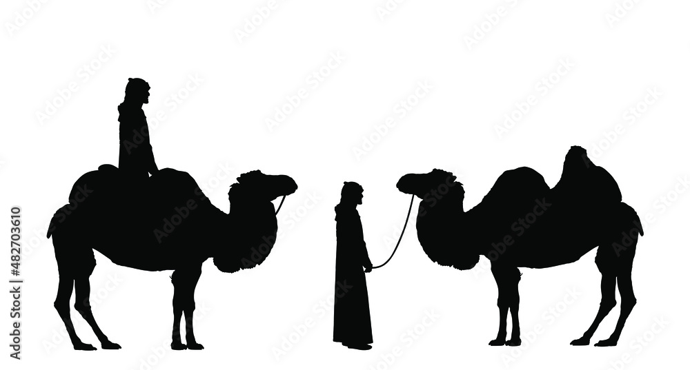 Arabian man sheikh standing and riding camel vector silhouette ...