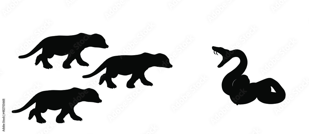 Curl snake defend against mongoose meerkat family attack prey vector ...