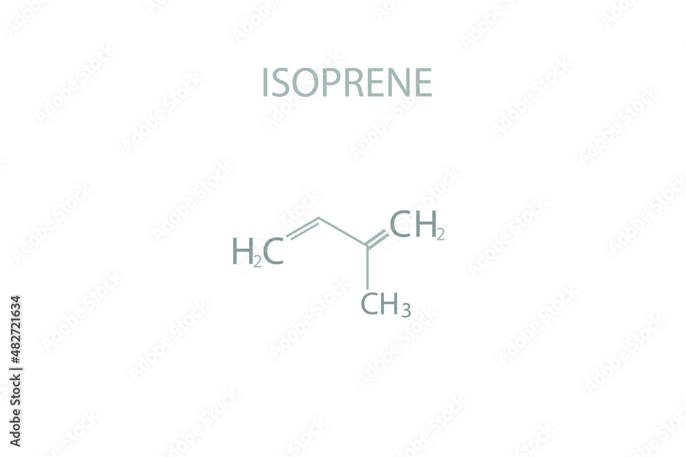 Isoprene molecular skeletal chemical formula. Stock Vector | Adobe Stock
