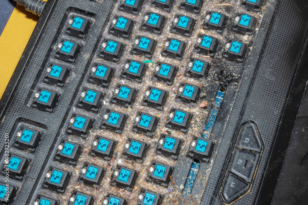 Very dirty keyboard. Dog hair, breadcrumbs and dust accumulated under ...