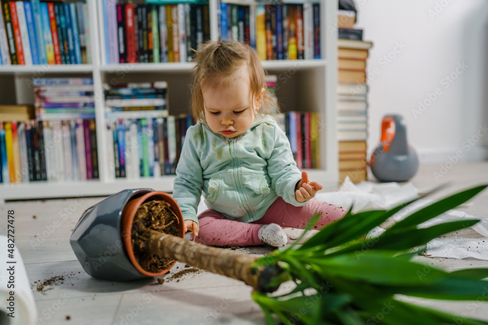 one caucasian baby girl making mess playing and mischief with bad ...