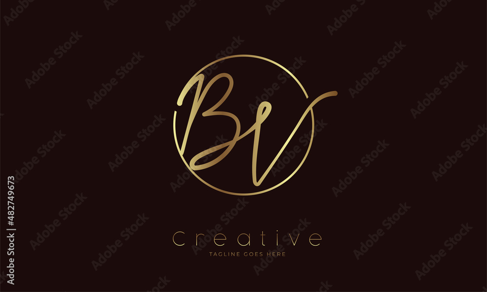 Initial BV Logo. hand drawn letter BV in circle with gold colour ...