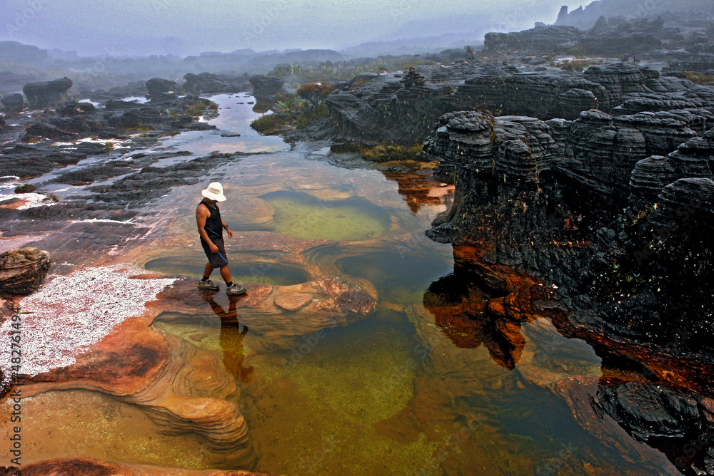 Parque Nacional do Monte Roraima. Roraima. Stock Photo | Adobe Stock