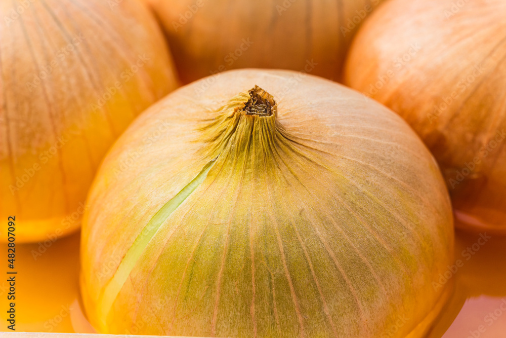 Onion bulbs in seedling tray close up. Onion texture background. Nature ...