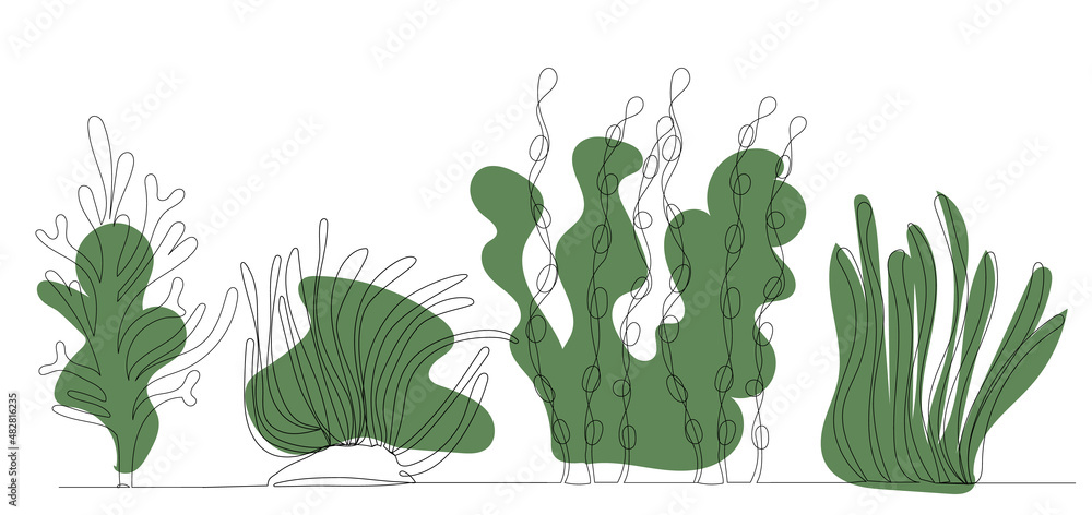 algae drawing in one continuous line, vector, isolated Stock Vector ...