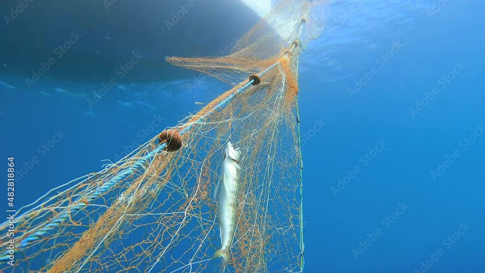 4K.Caught fish in the net hanging from the boat under the sea ...