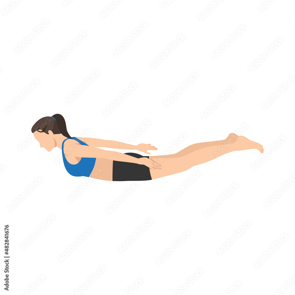 Woman doing Locust pose salabhasana exercise. Flat vector illustration ...
