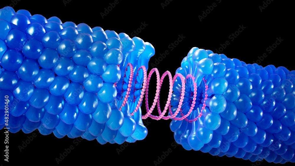 Helical virus structure, cross-section of a Tobacco mosaic virus, a ...
