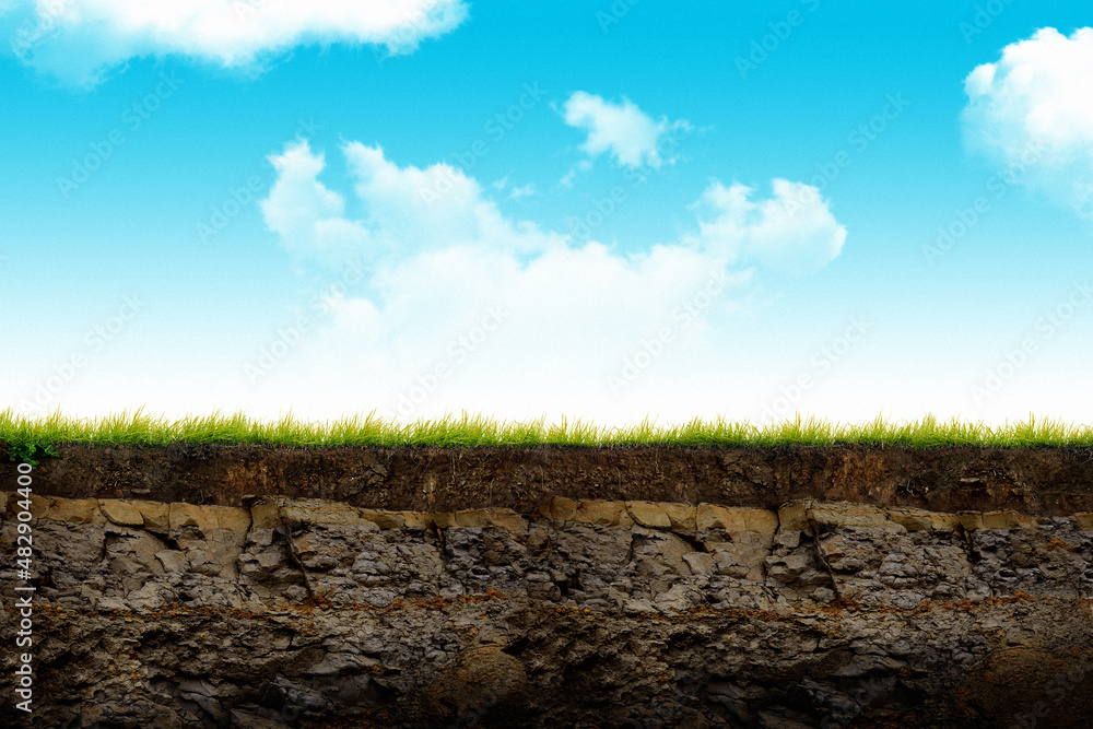 Cross section brown soil and green grass in under ground with blue sky ...