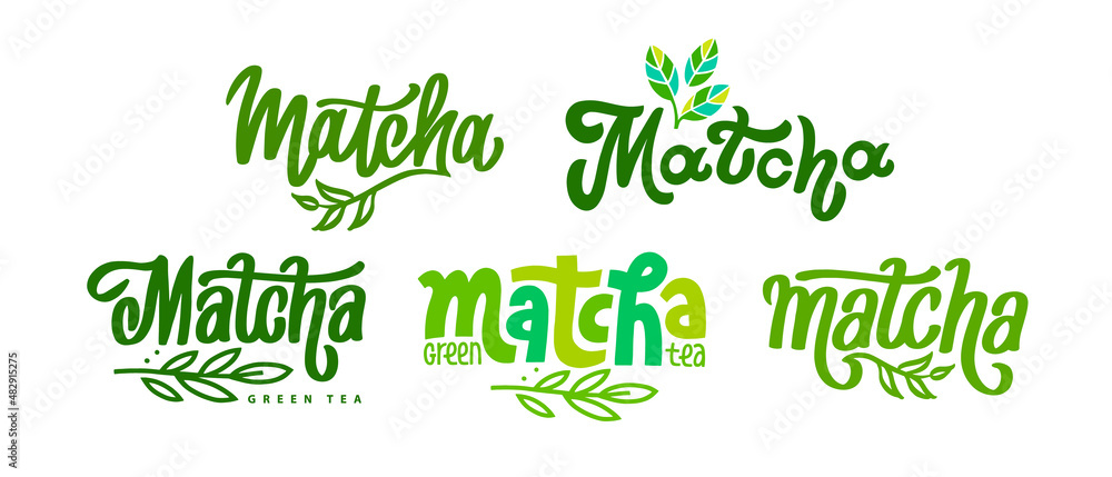 Set of Matcha logo design. Lettering decorated of branch green leaves ...