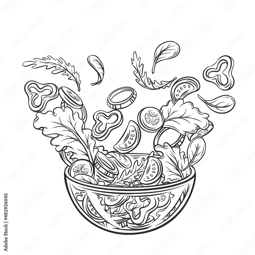 Salad Bowl Illustration