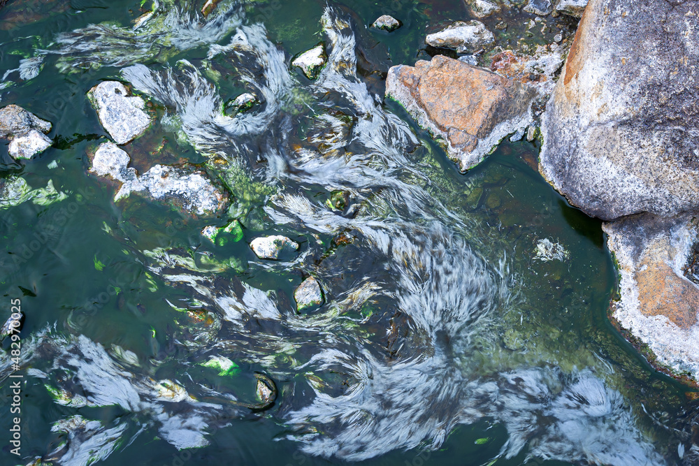 Stockfoto Hot springs ecosystem Thermophiles are microscopic organisms ...