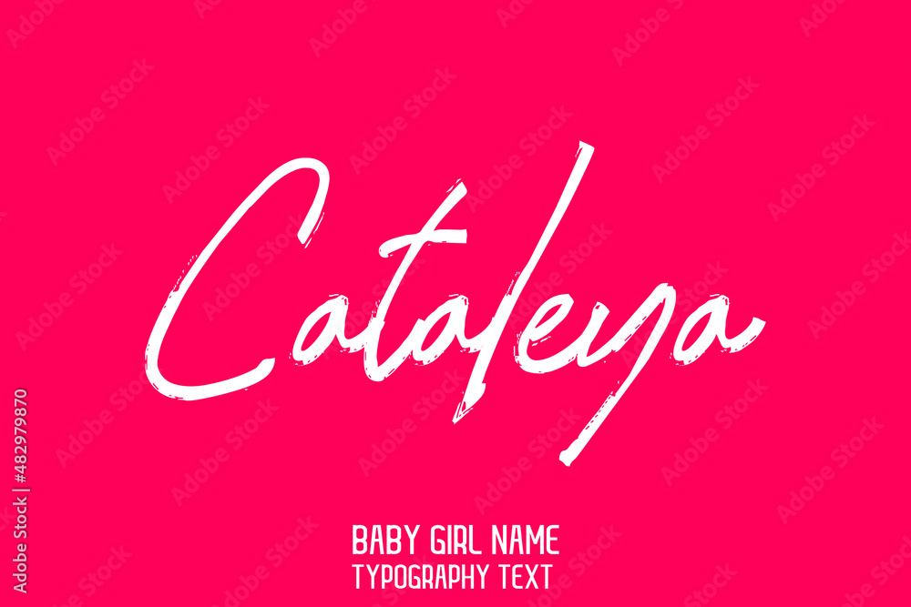 Baby Girl Name Cataleya Handwritten Brush Calligraphy Text on Pink ...