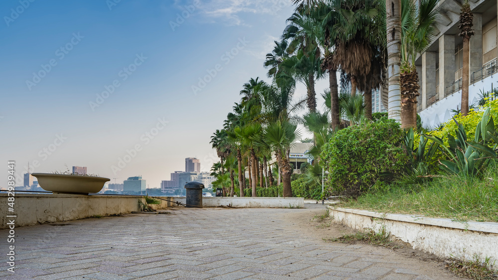 Pedestrian sidewalk on the Nile embankment. Palm trees stand in a row ...