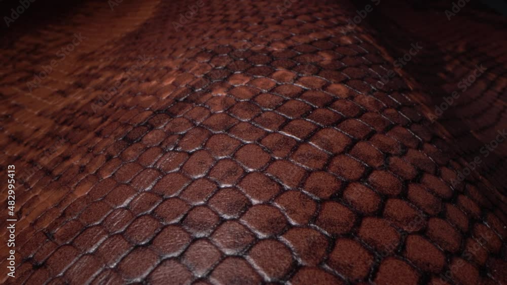Brown leather texture and background. Exotic skins in Fashion and ...