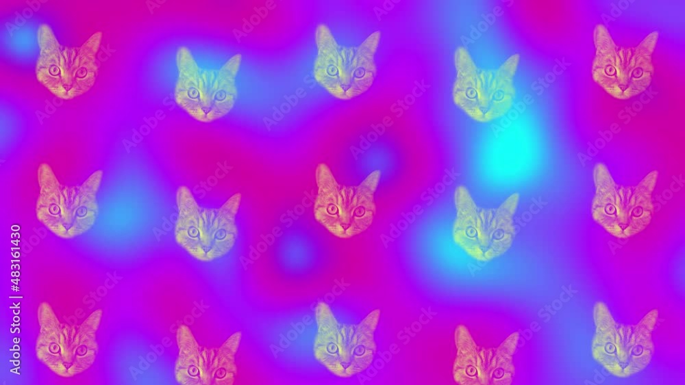 Cats heads pattern on vibrant gradient holographic neon colors. Concept ...