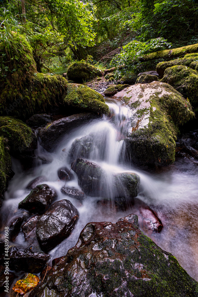 Cascada en el Rio Profundo Stock Photo | Adobe Stock
