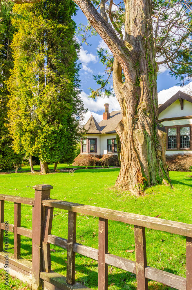 Fence built from wood. Outdoor landscape. Security and privacy concept ...