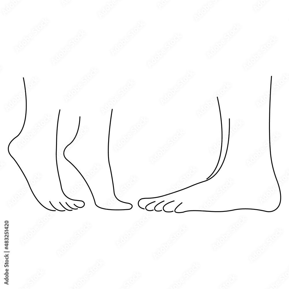 Vecteur Stock The contour of human legs, female legs stand on their ...