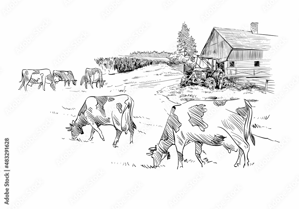 Farm sketch vector illustration.Hand drawn rural landscape. Stock ...