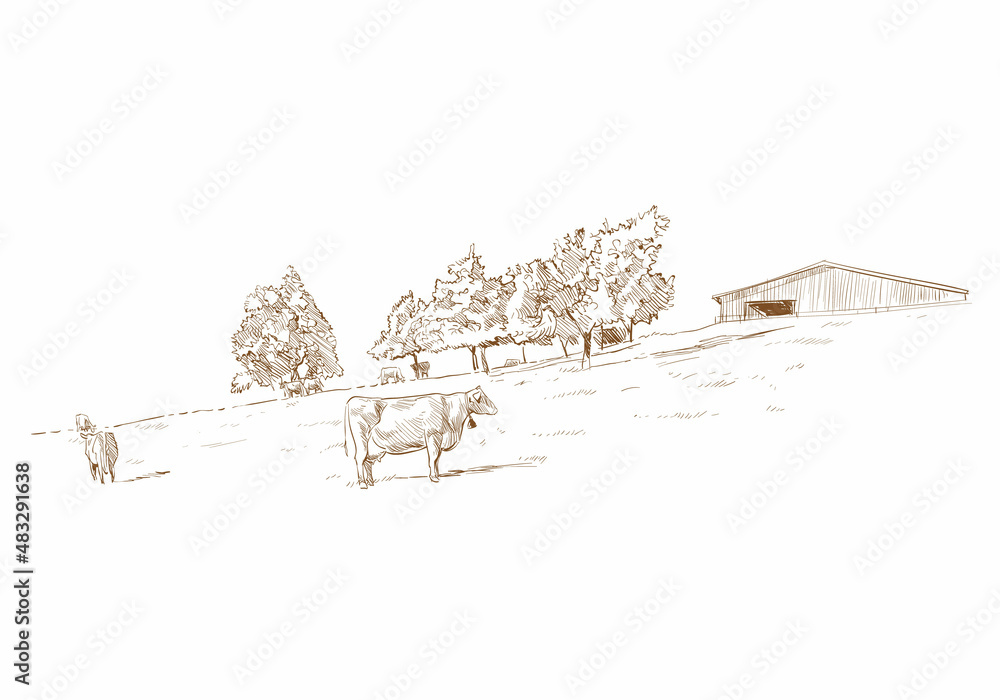 Farm sketch vector illustration.Hand drawn rural landscape. Stock ...