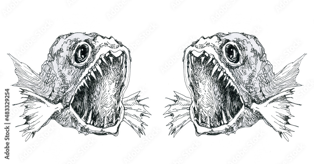 Two predatory fish. Deep sea creatures. Ink drawing.Image for designer ...