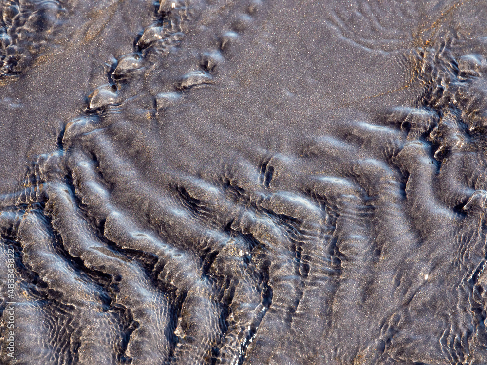 Macro vaguelette wall mural wallpaper | Muraledesign.com