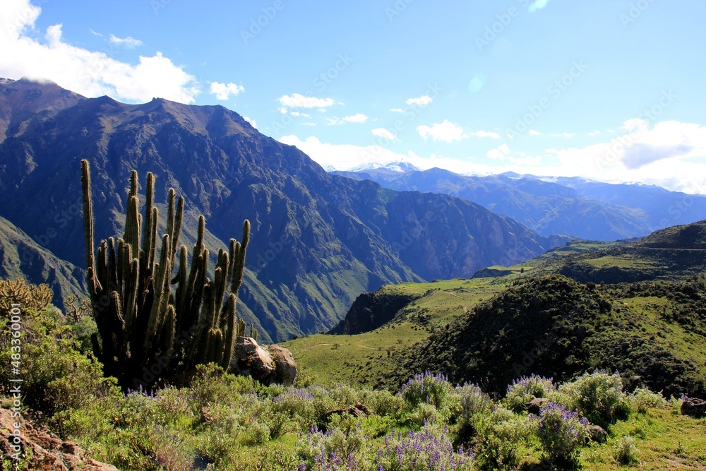 Nature is the world around us, not created by man. That which is ...