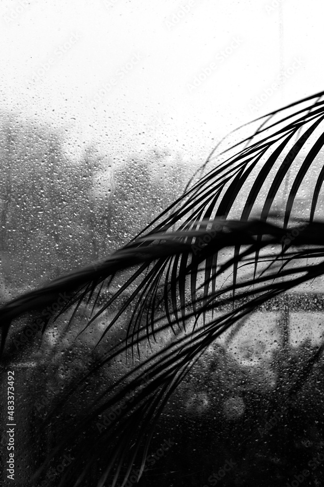 Sad Rainy weather on window Stock Photo | Adobe Stock