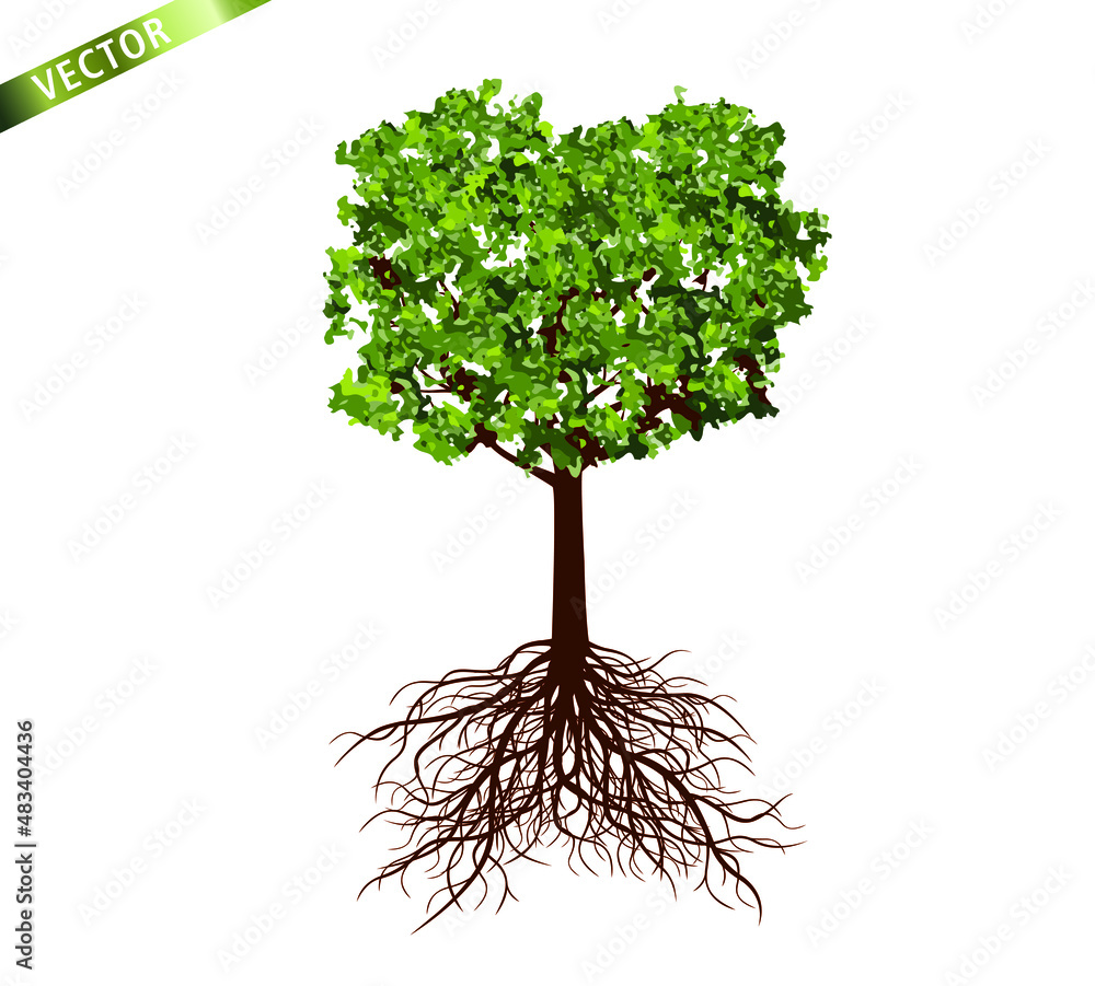 Realistic Tree with Green Leaves and Roots. Vector Illustration ...