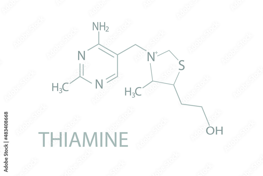Thiamine molecular skeletal chemical formula. Stock Vector | Adobe Stock