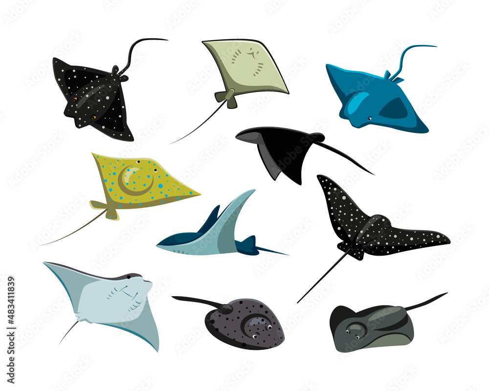 Comic stingrays flat vector illustrations set. Cute fish cartoon ...
