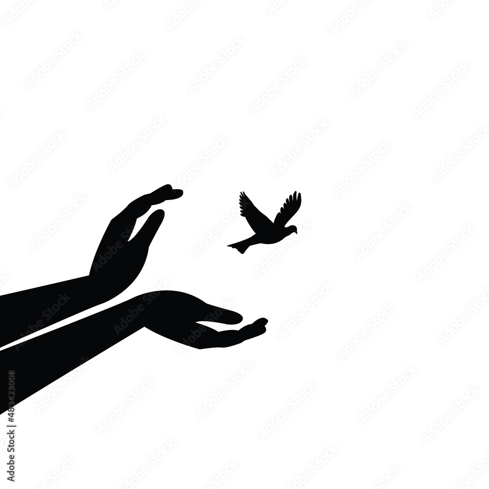 freedom concept, bird set free art, the bird flying for freedom from an ...