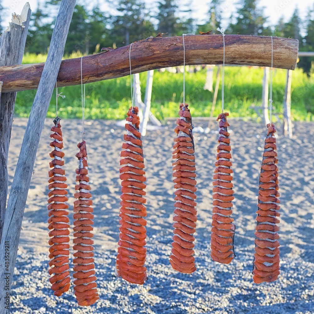 Foto de Sun-cured Pacific salmon. Traditional dish of the indigenous ...