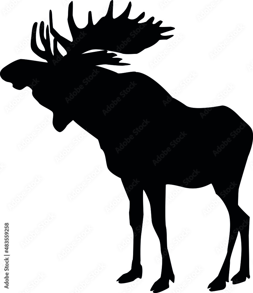 Elk Vector Graphics Collection Animals Stock Vector | Adobe Stock