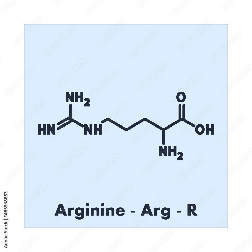 Arginine - Arg - R - Essential Amino Acid molecular formula, flat ...