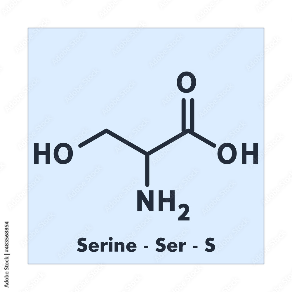 Serine - Ser - S - Non Essential Amino Acid molecular formula, flat ...