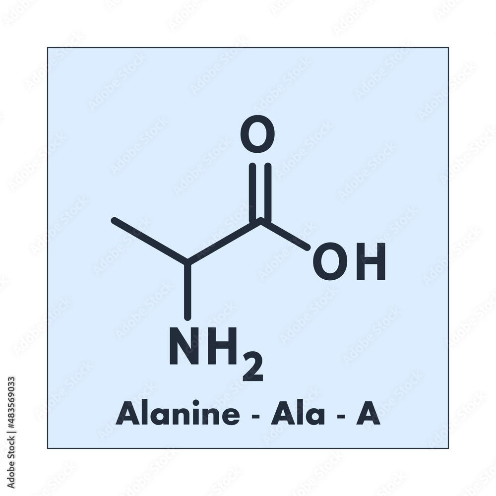 Vetor de Alanine - Ala - A - Non Essential Amino Acid molecular formula ...