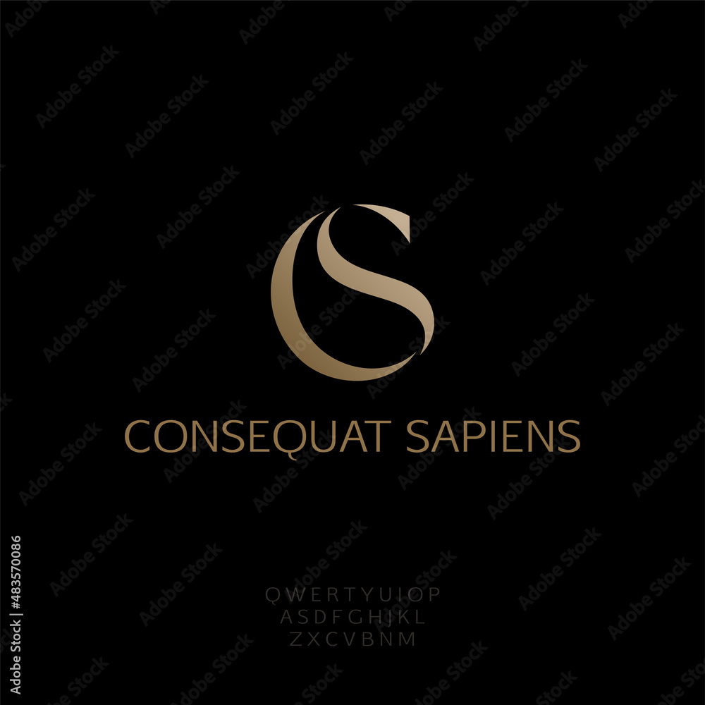 C and S monogram, luxury brand CS letters, vector illustration Stock ...