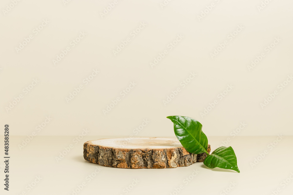 Blank wooden natural podium with green plant leaf, podium to display ...