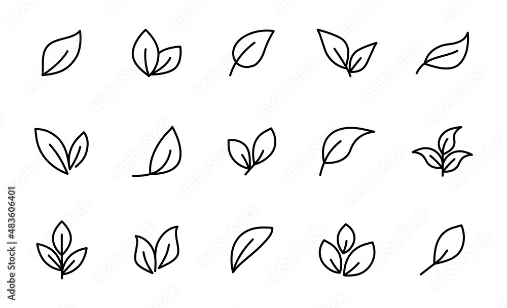 Set of line leaf icons. Leaves icon. Leaves of trees and plants ...